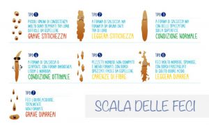 Sognare Cacca – Interpretazione – Numeri - Sognipedia.it